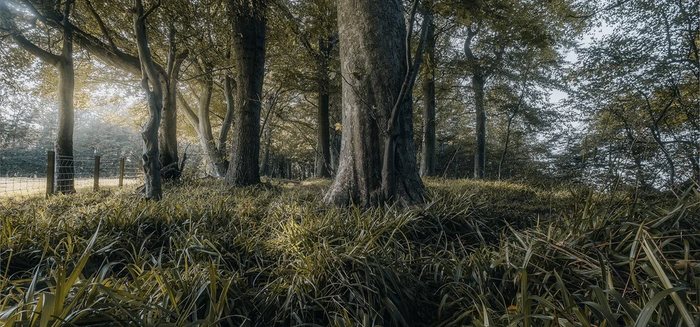 Gary McIntyre Photographer