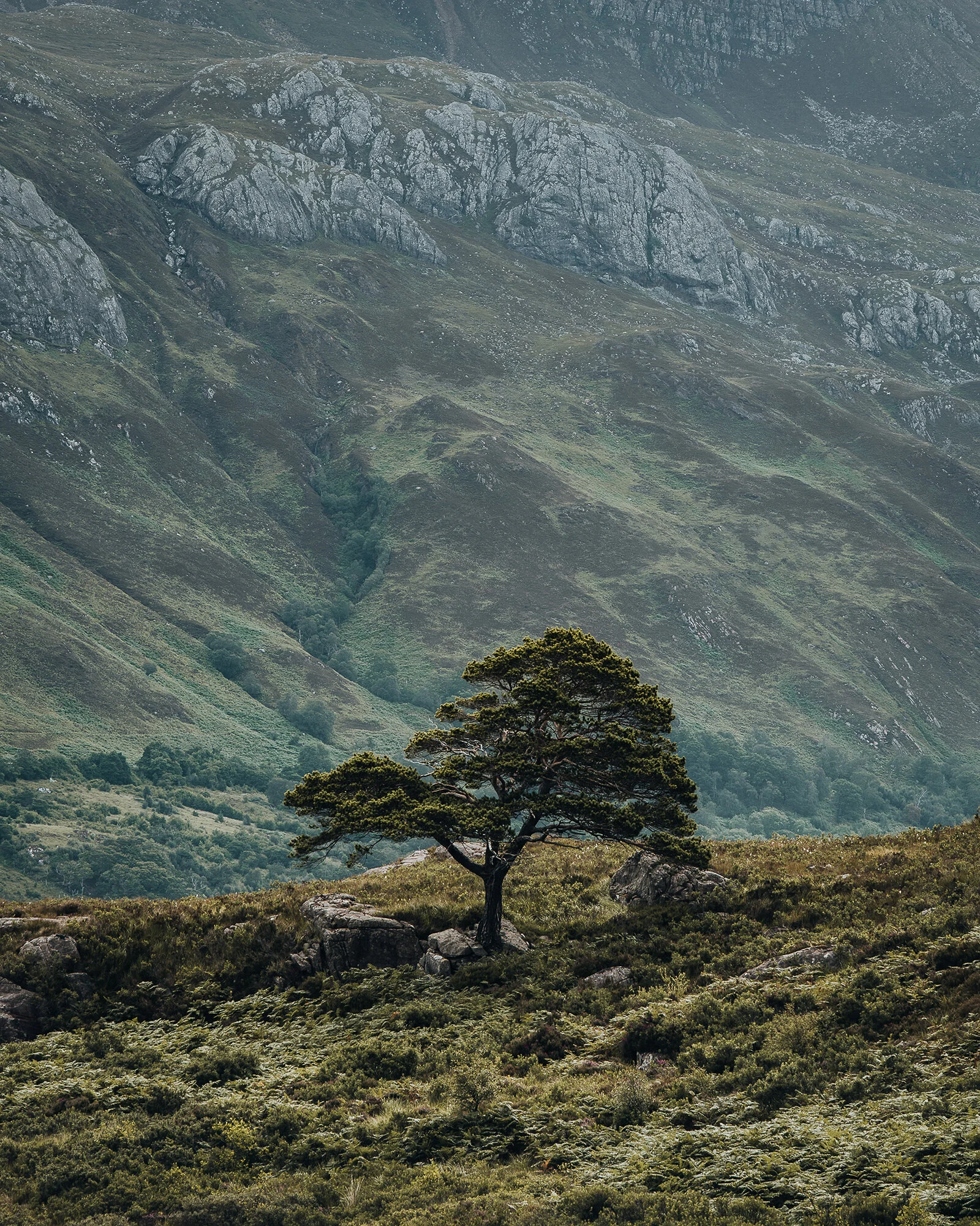 Landscapes — Gary McIntyre Photographer