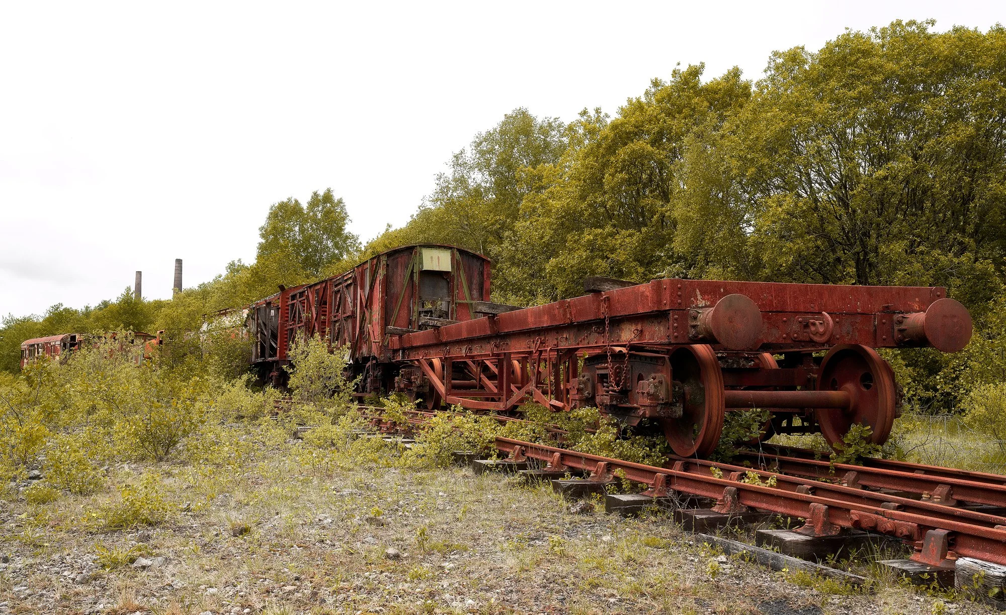 Creative Images from Photographs — Gary McIntyre Photographer