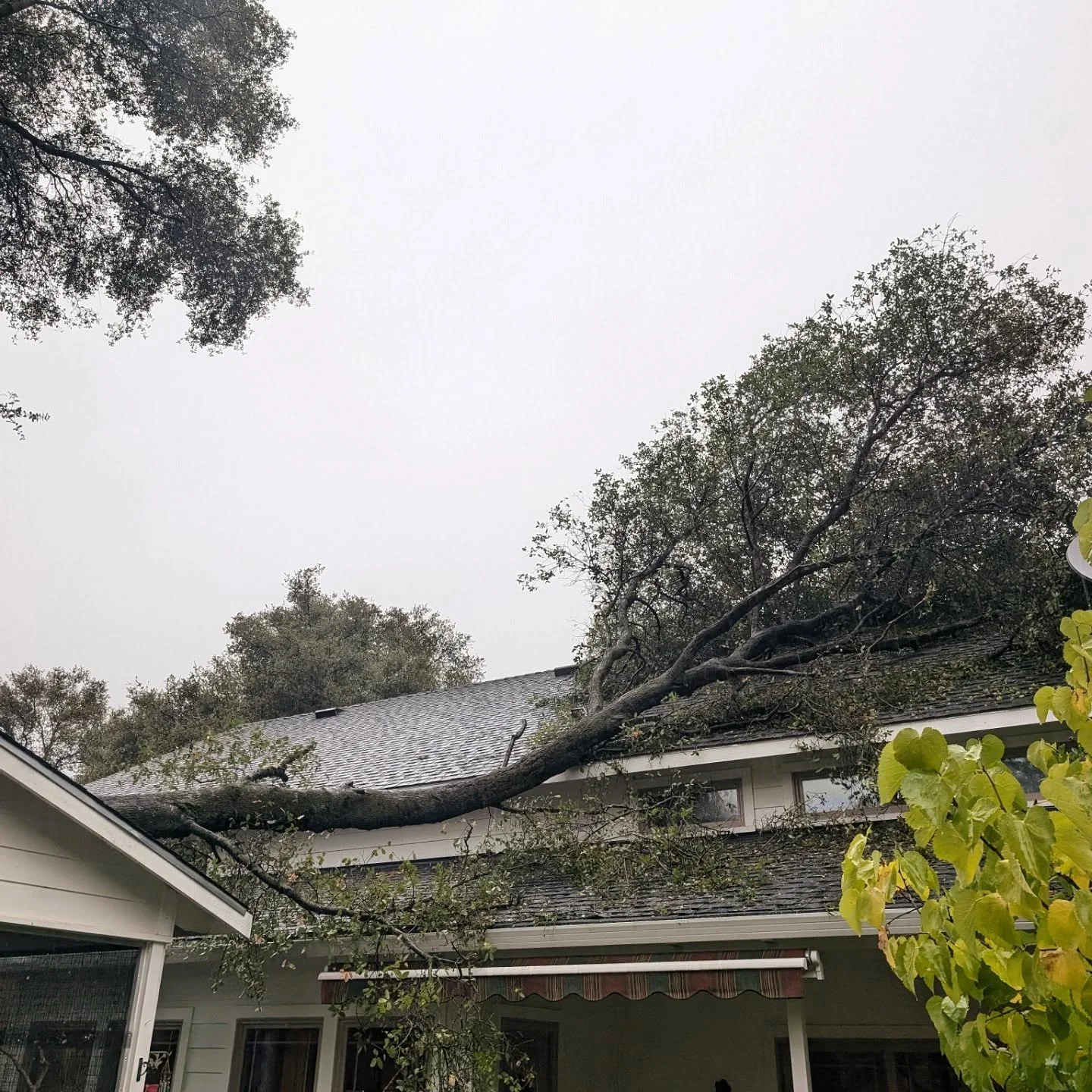 YFR Tree & Land Management, Inc.