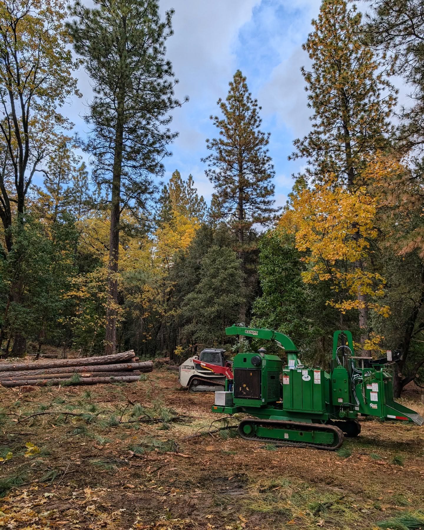 YFR Tree & Land Management, Inc.