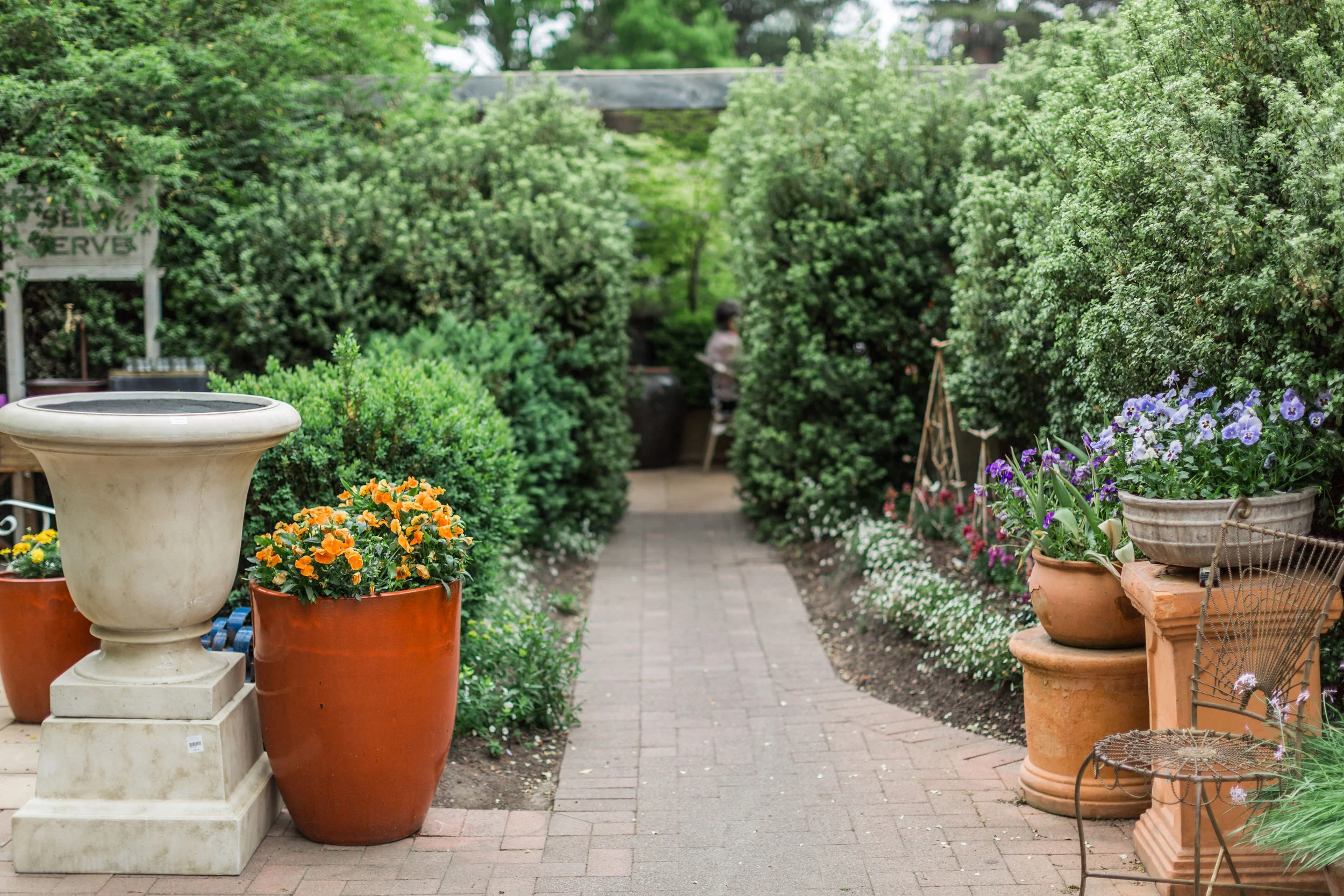 Rodneys Garden Centre — Pialligo Cafe