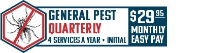 Boise Pest Control - Spiders, Ants, Wasps, Mice & More - AMERICAN ...