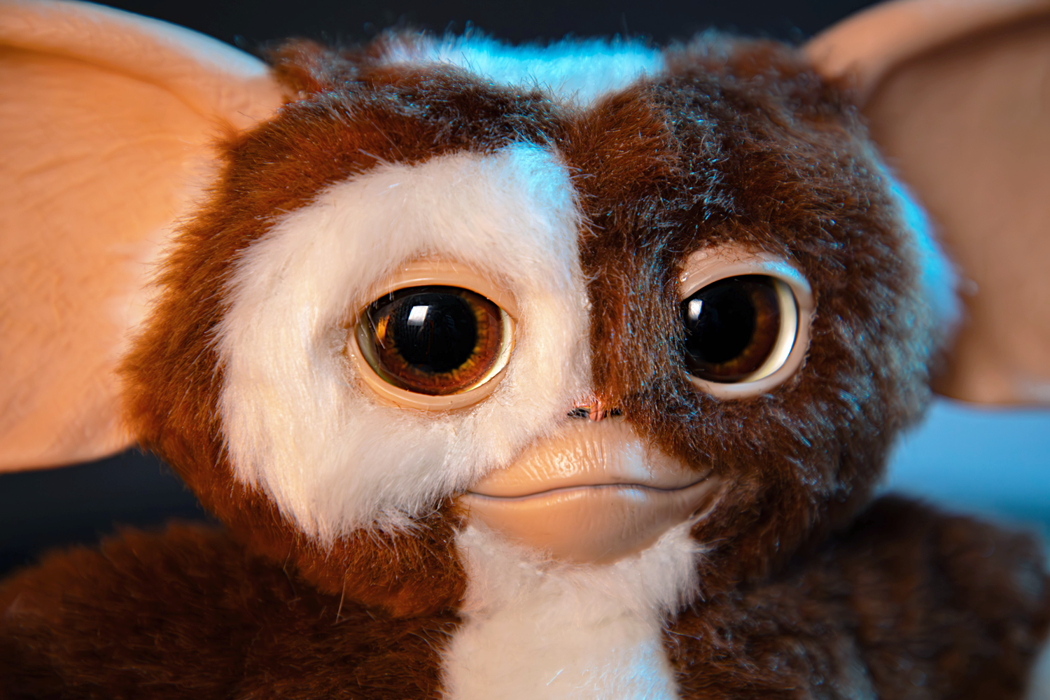 Gremlins Gizmo Plush | Ikon Design Studio