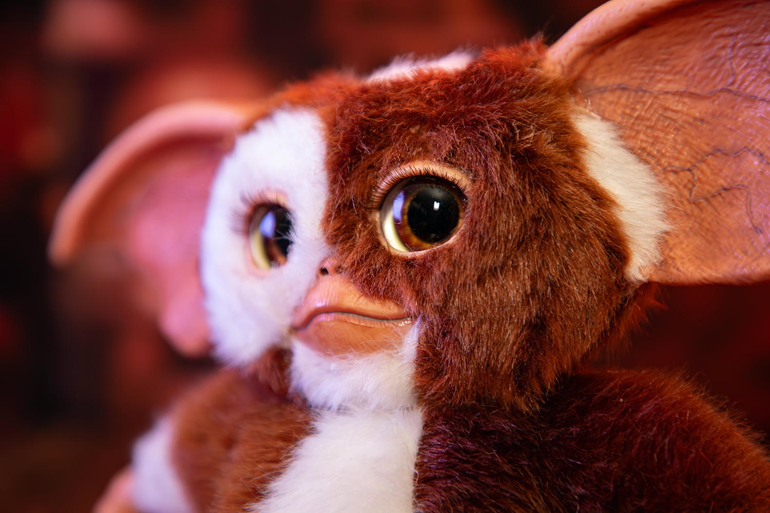 Gremlins Mogwai Box & Gizmo Singing & Dancing Plush | Ikon Design Studio