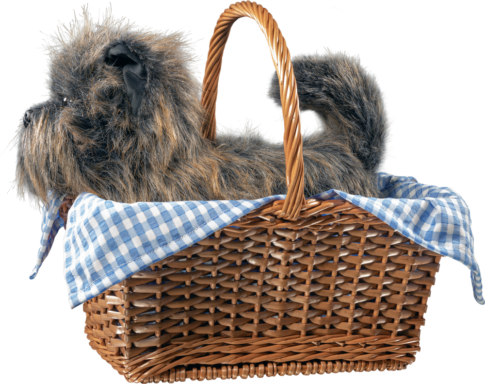 Replica Dorothy Basket and Toto Plush | Ikon Design Studio