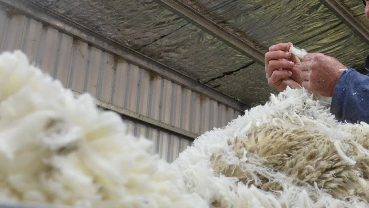 Wool Market Update (November 2015) — RMS Agricultural Consultants