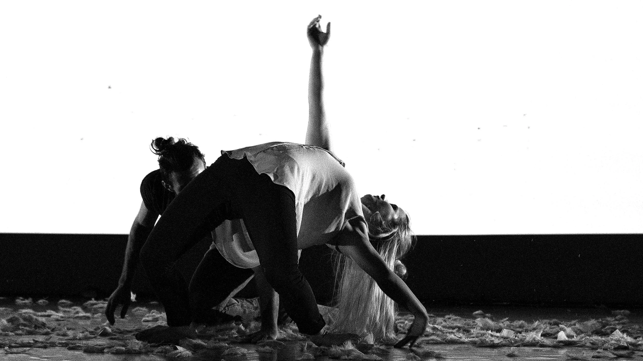Ransack Youth Dance Opportunity — Impelo