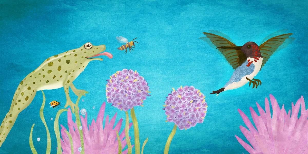 Biography — Omri Stephenson illustrator and author
