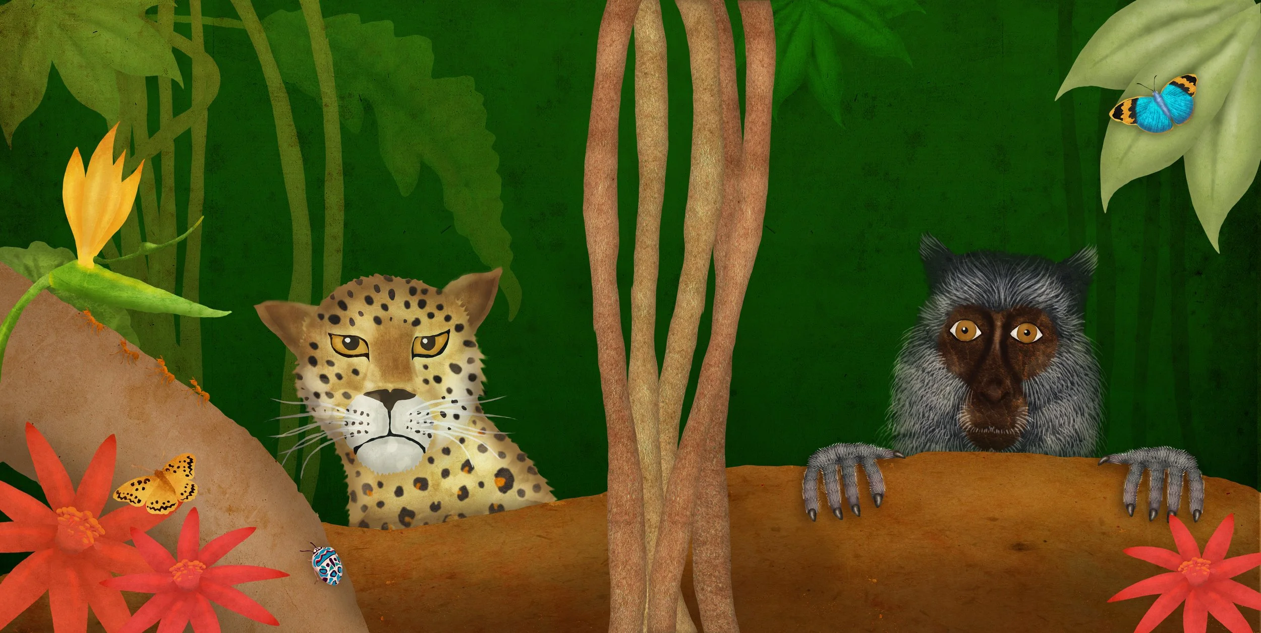 Omri Stephenson illustrator and author