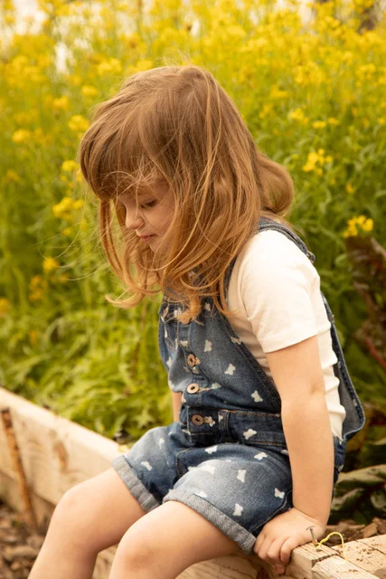 brad reed photography