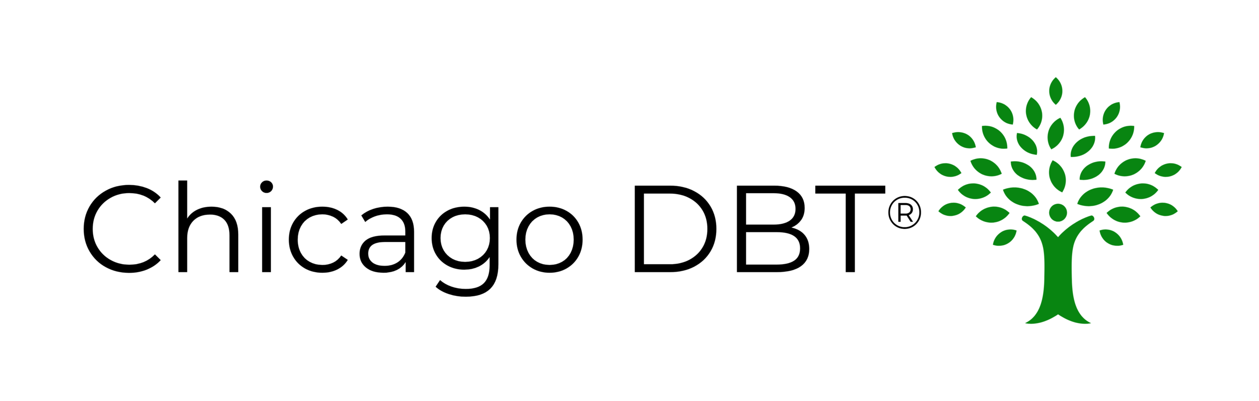 Chicago DBT Institute