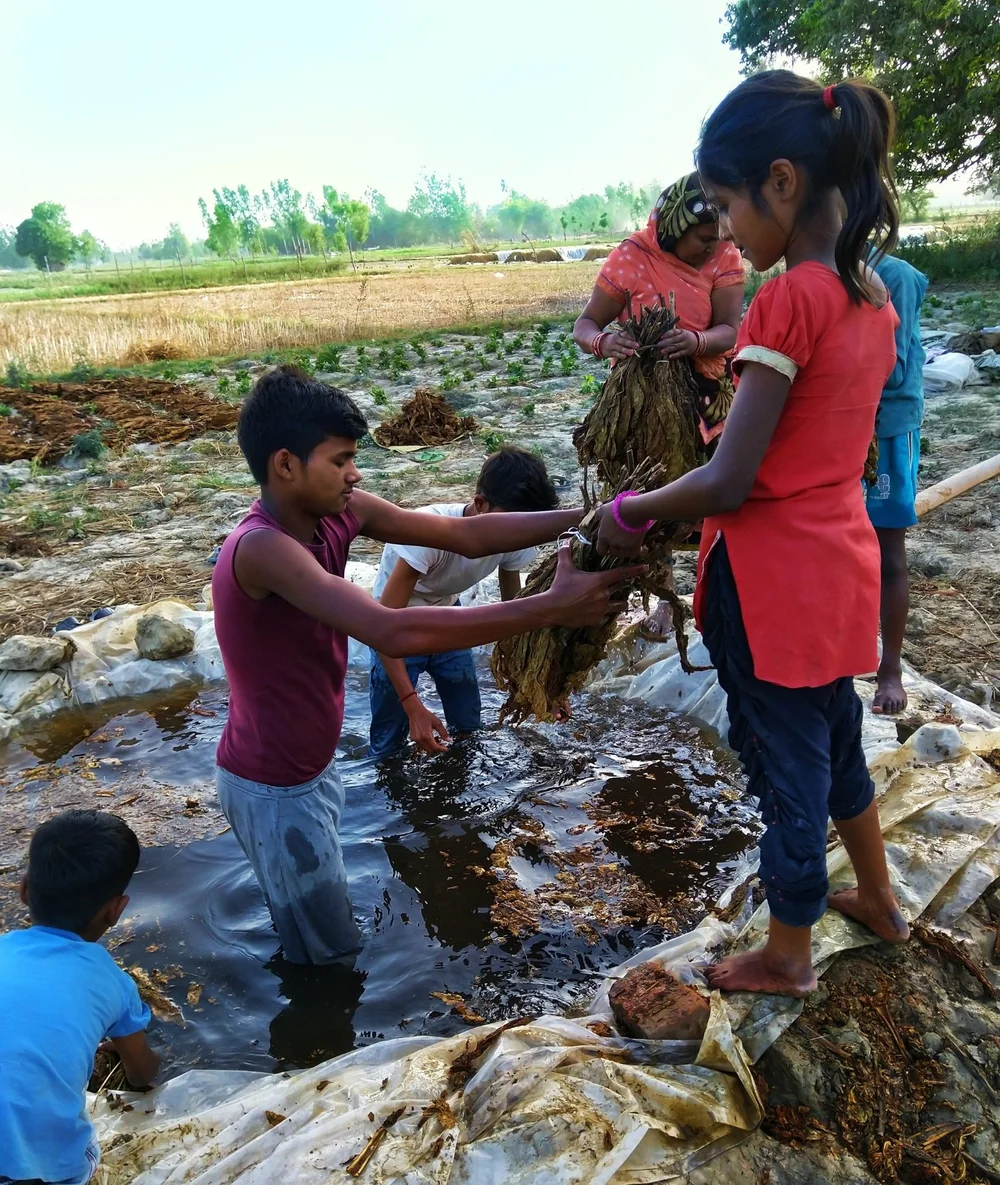 Vapes Are Trash Campaign — Parents Against Vaping E-cigarettes