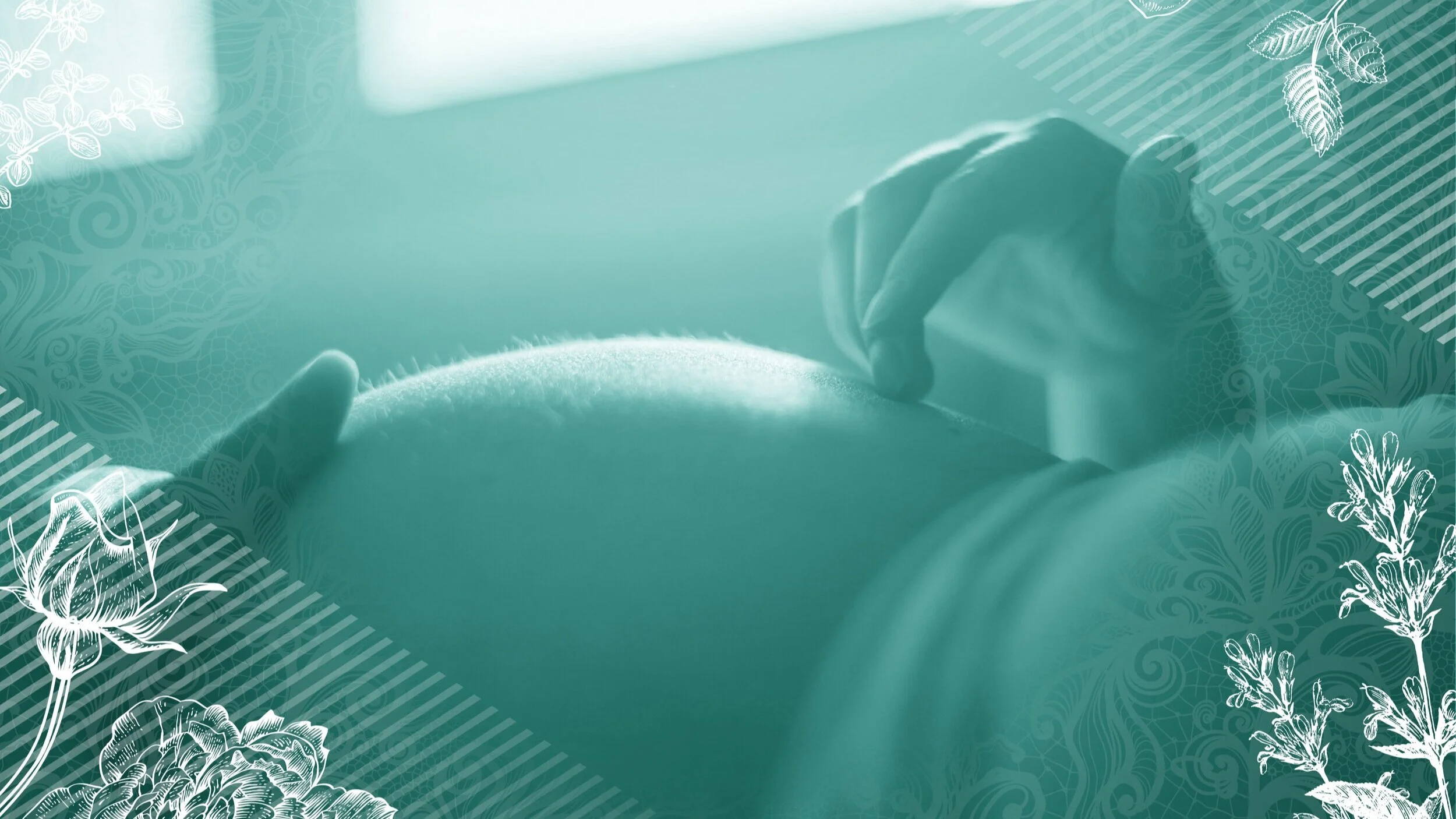 Understanding the Cascade of Interventions — Wildish ~ Organic Products ...