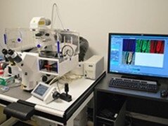 MICROSCOPY FACILITY EQUIPMENT — FUNCTIONAL BRAIN IMAGING LAB