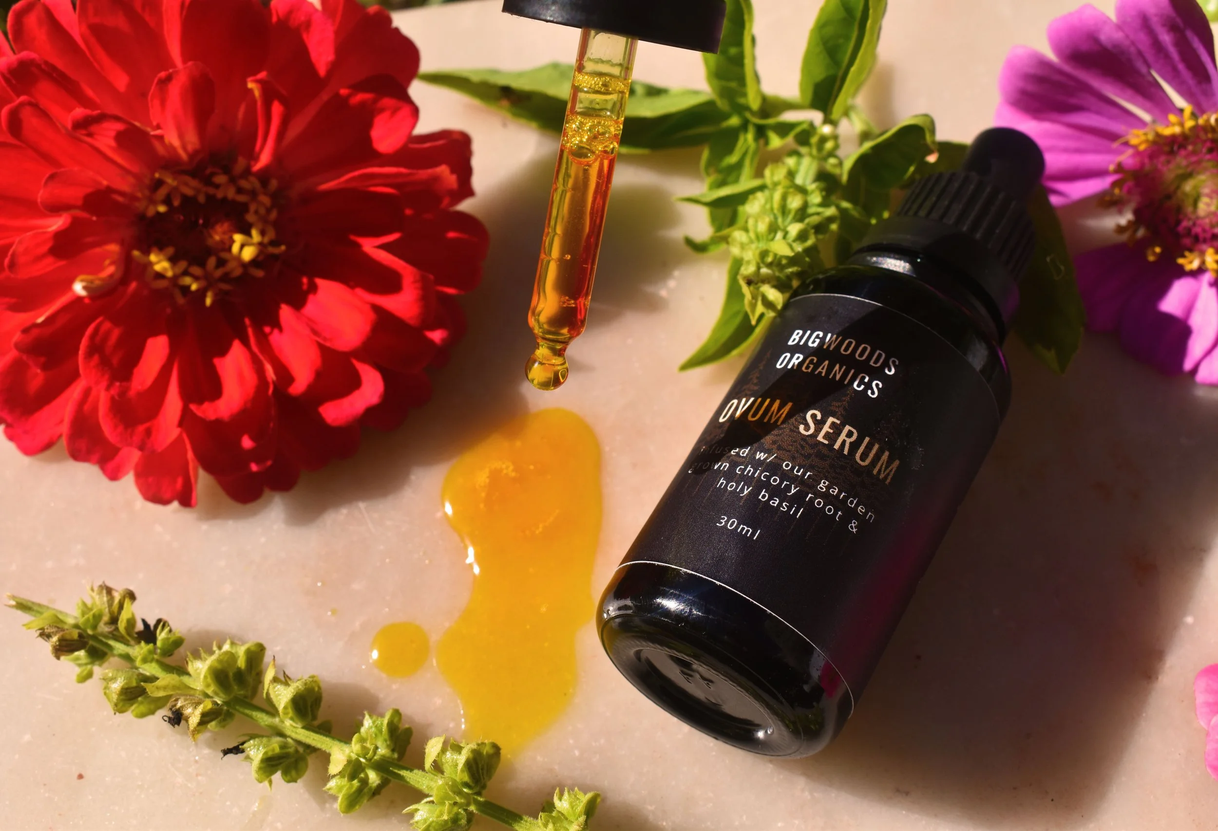 Bigwoods Organics