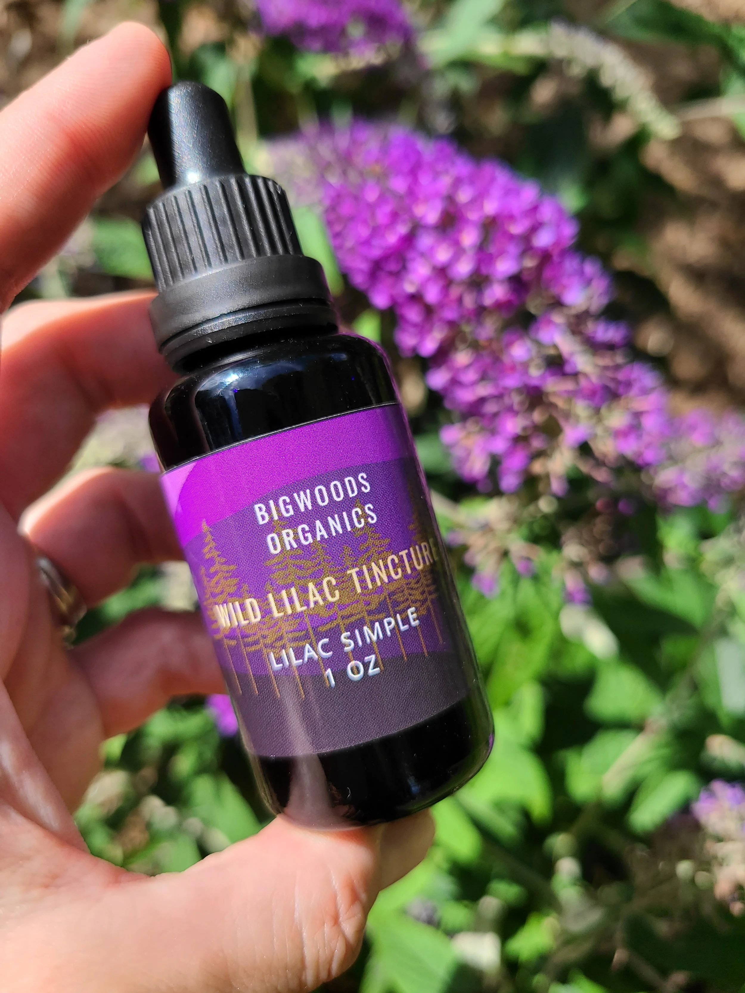 WILD LILAC TINCTURE — Bigwoods Organics