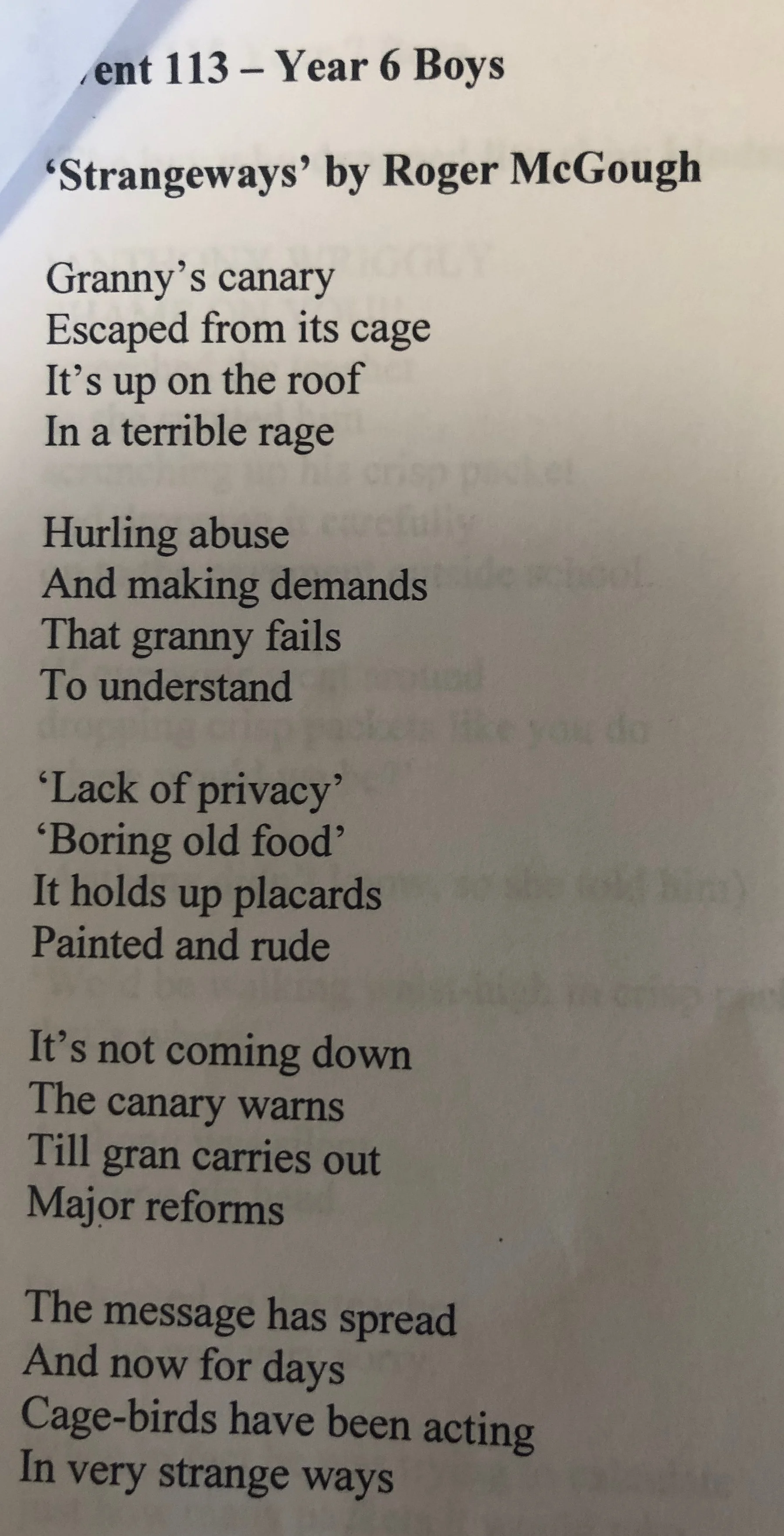 Feis Poems 2019 — St Joseph's P.S. Drumquin
