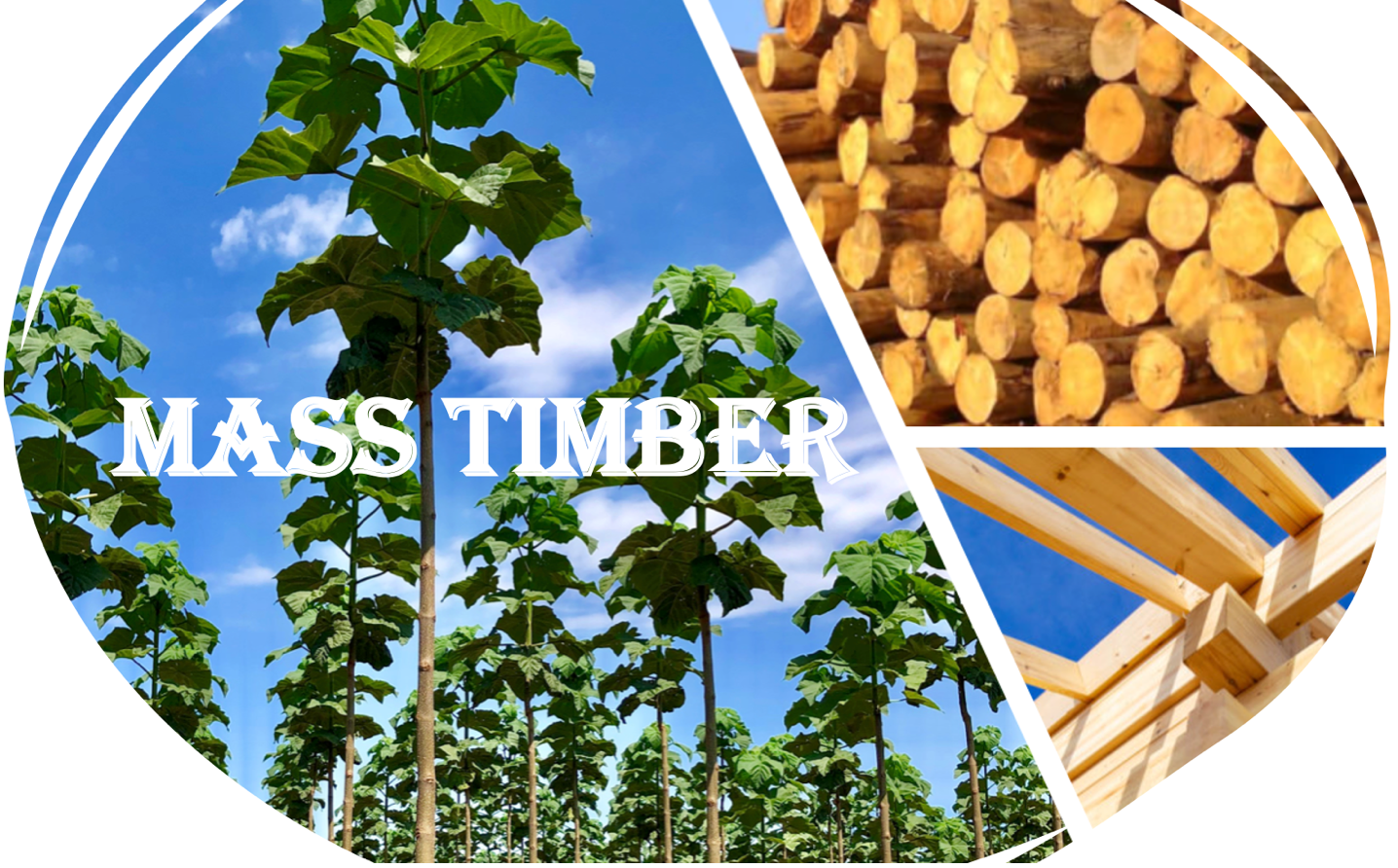 Blogs from Regenbiomass — CATALINA BIOTECH