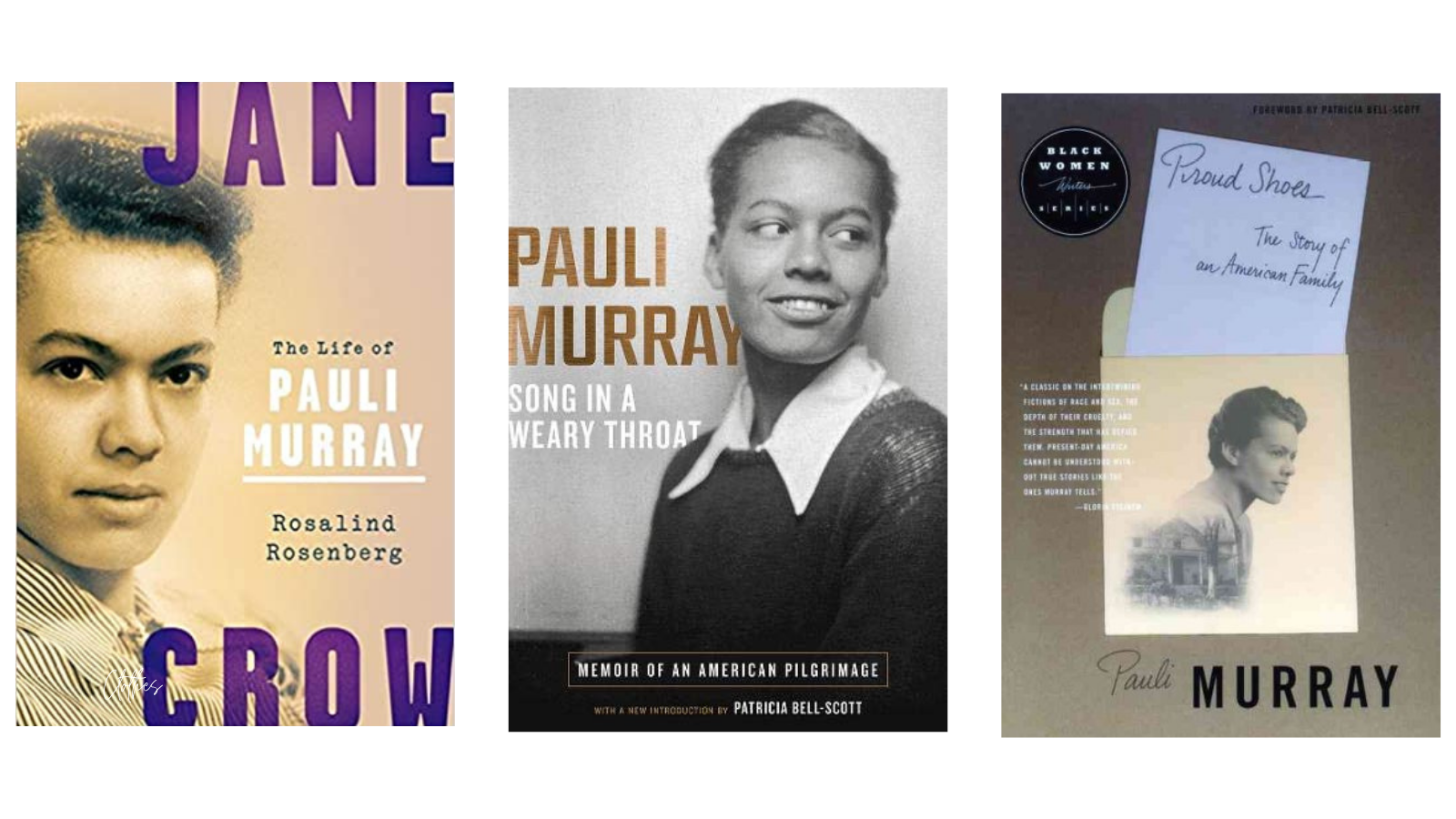Pauli Murray Center's Book Gift Guide — Pauli Murray Center