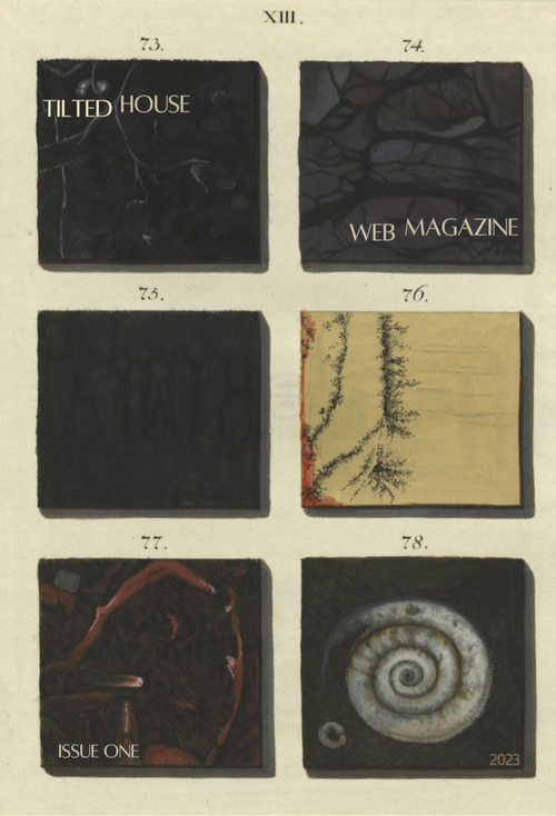 ISSUE ONE — TILTED HOUSE