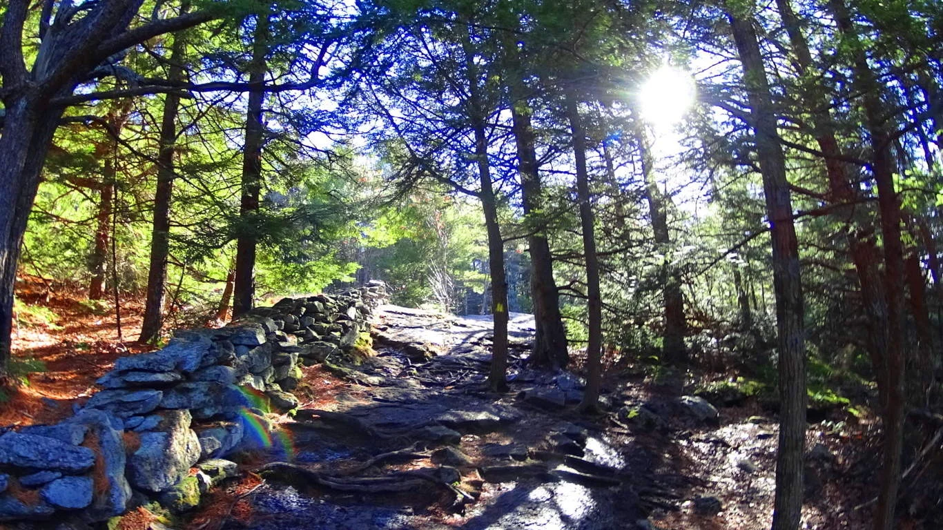 Midstate Massive Ultra Trail