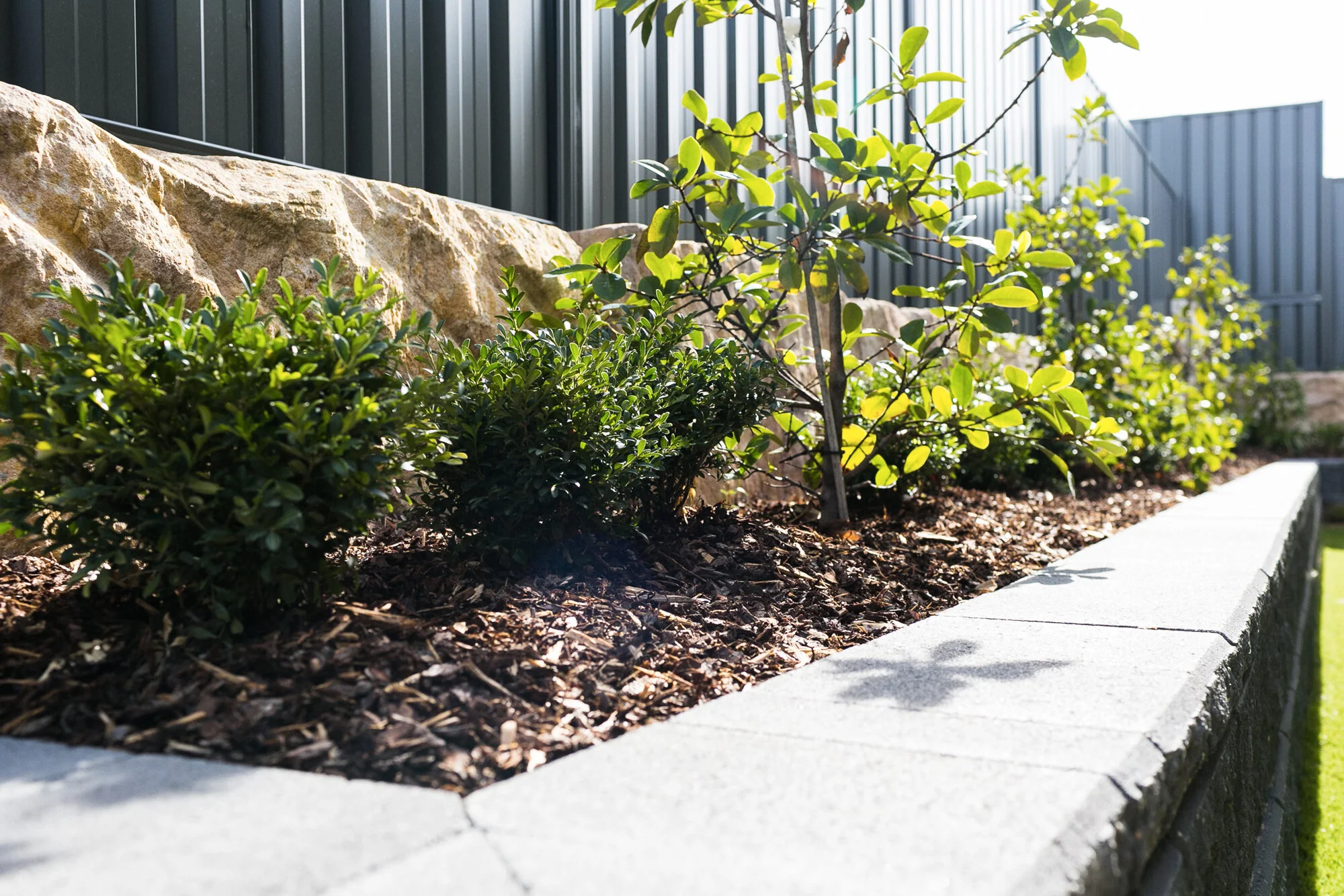 Imagine Landscape Design