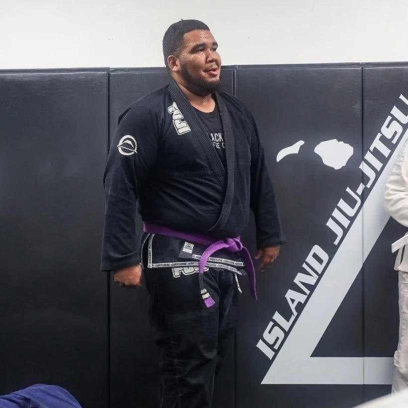 About — IJJ Michigan