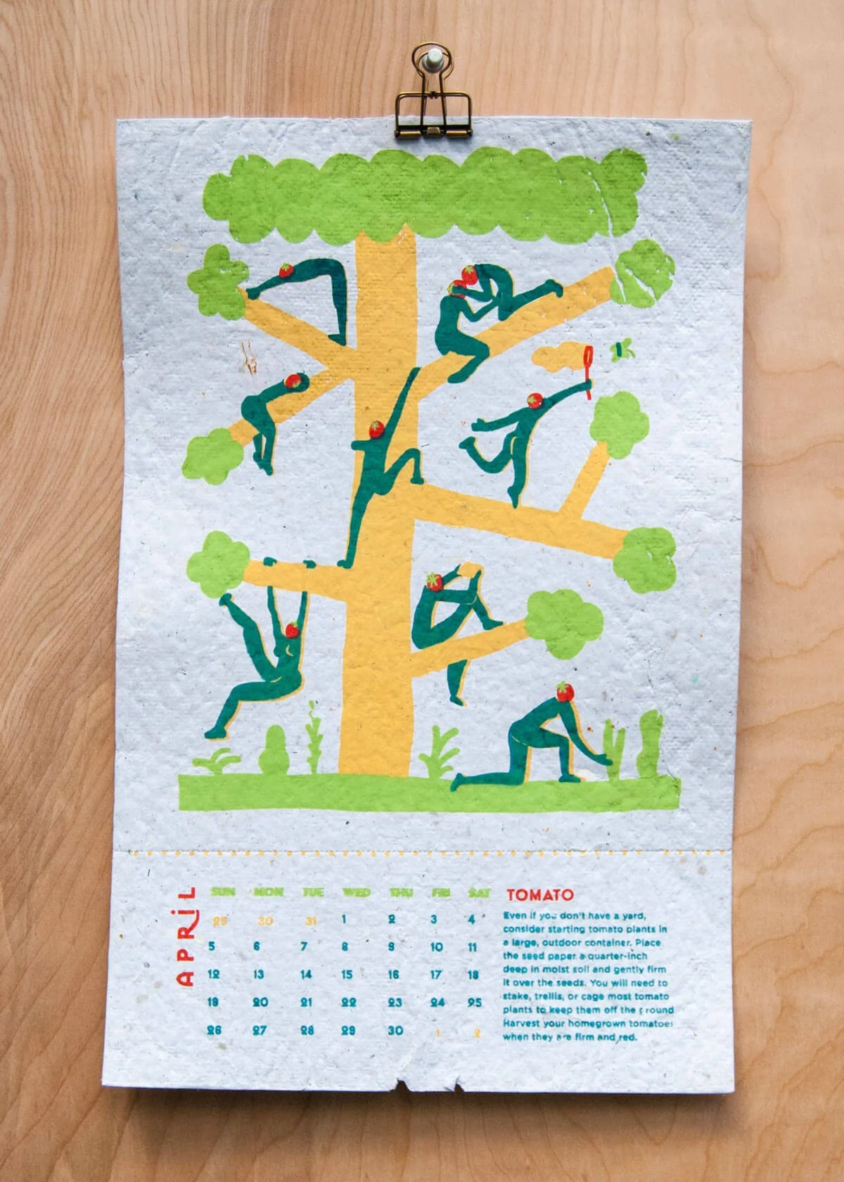 The Plantable Calendar — akhtarshenas studios