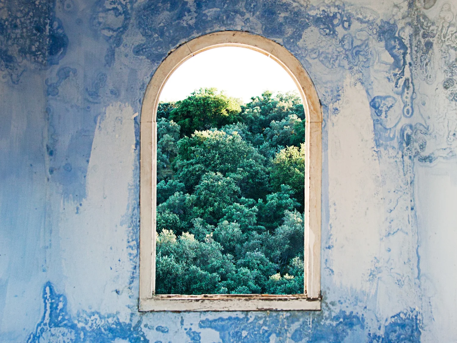 Home — Trasierra