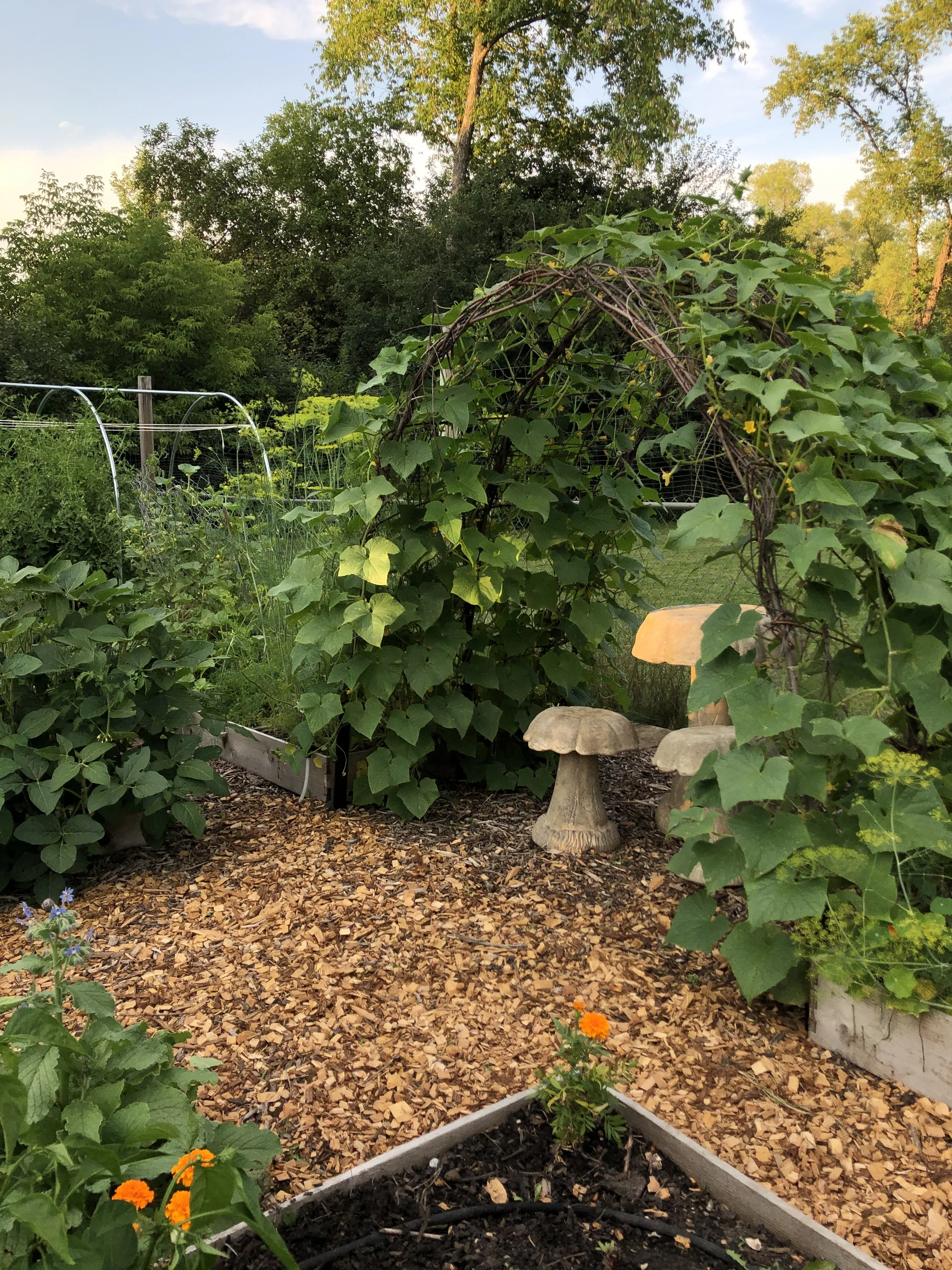 Plant Support Garden Structures Rustic Garden Plant Structure — Wild
