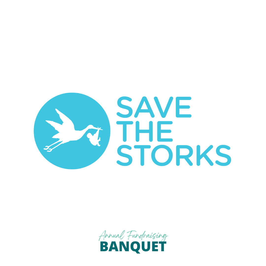 Save The Storks Logog