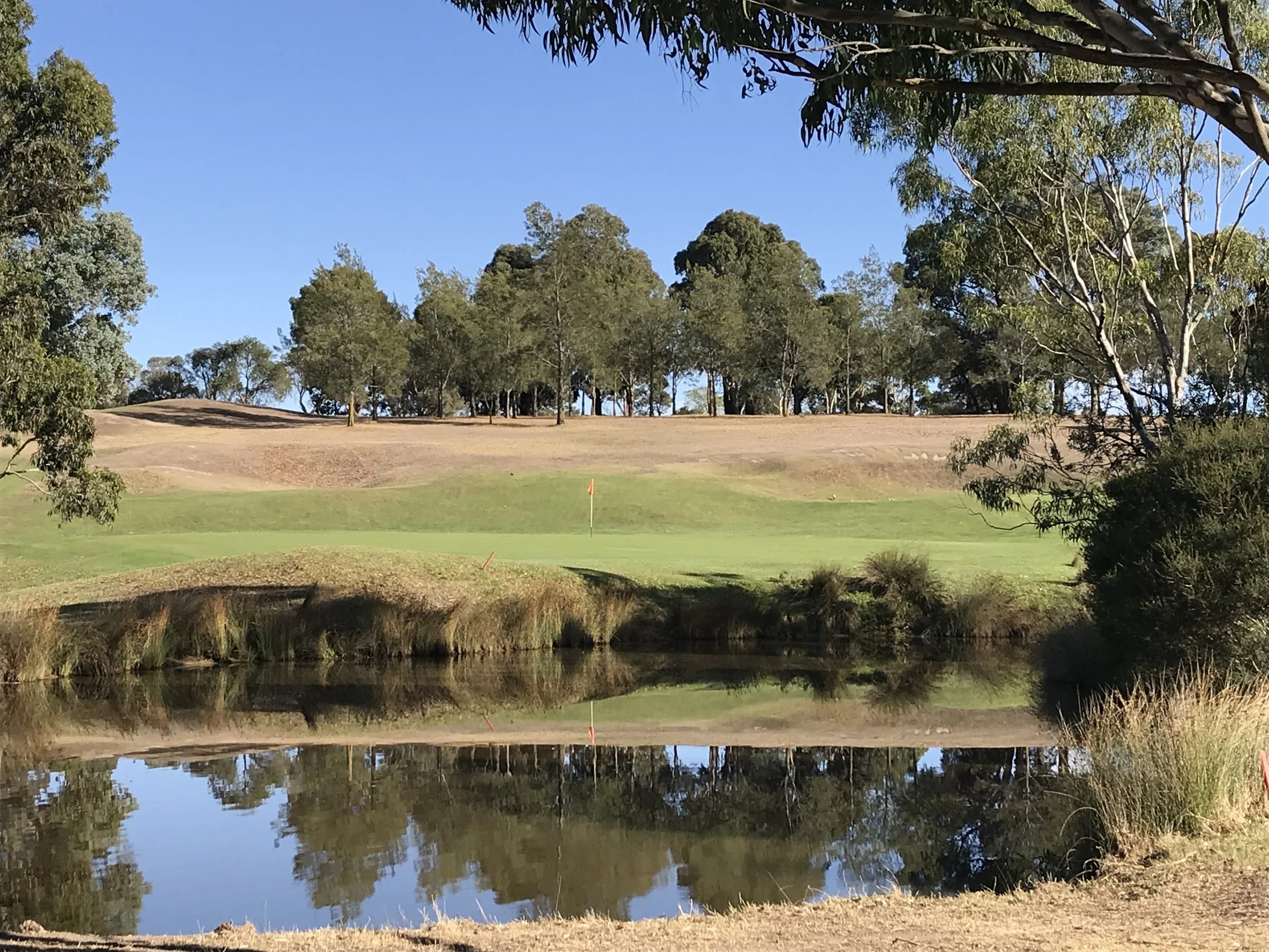 Yarrambat Park Ladies Golf Club