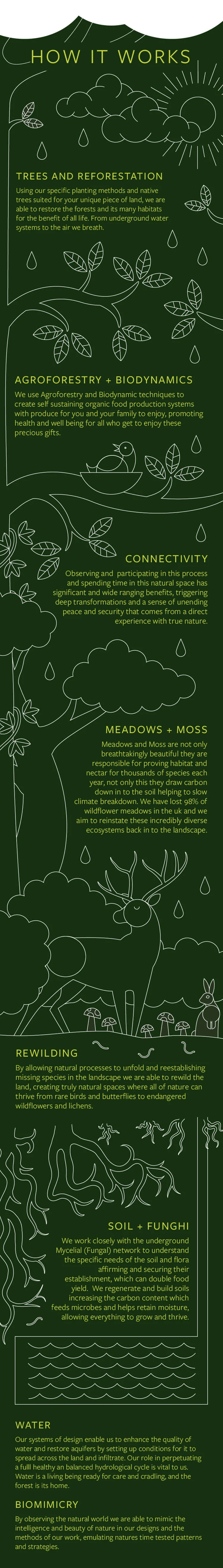 Conscious Landscape | Land Design and Restoration