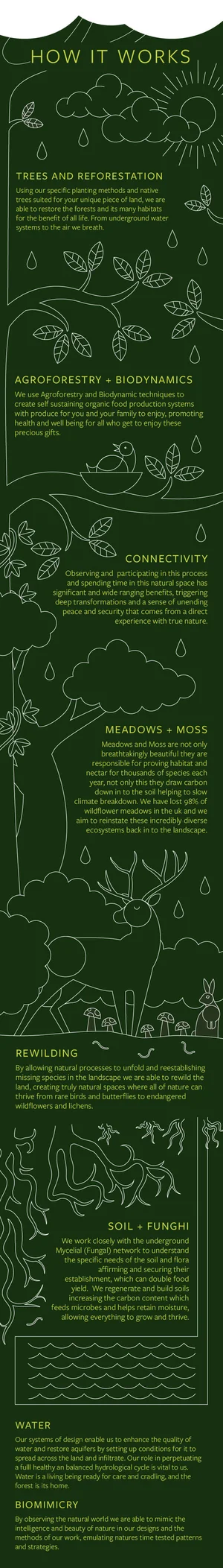 Conscious Landscape | Land Design and Restoration