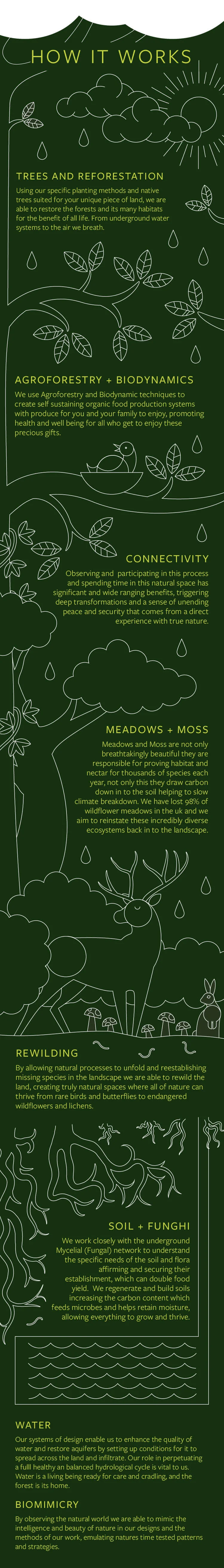 Conscious Landscape | Land Design and Restoration