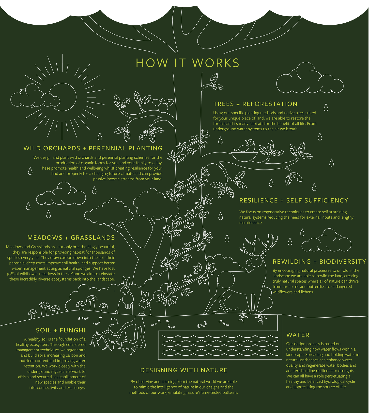 Conscious Landscape | Land Design and Restoration