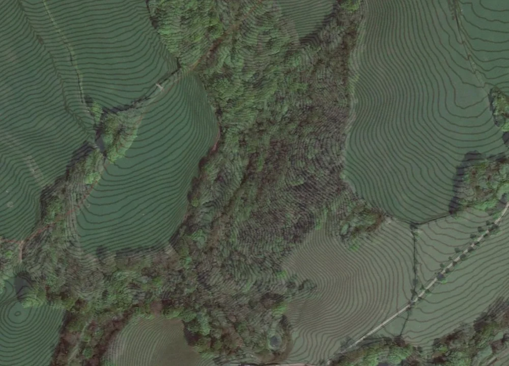 Conscious Landscape | Land Design and Restoration