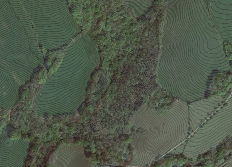 Conscious Landscape | Land Design and Restoration