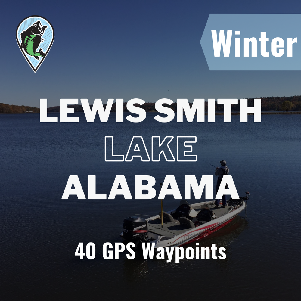 Lewis Smith