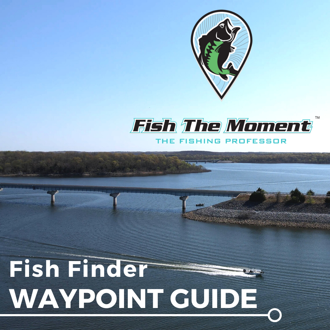 Digital Guides — Fish the Moment