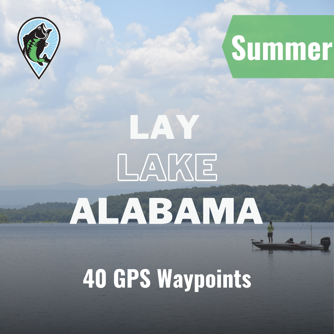 Lay Lake, Alabama - Summer — Fish the Moment