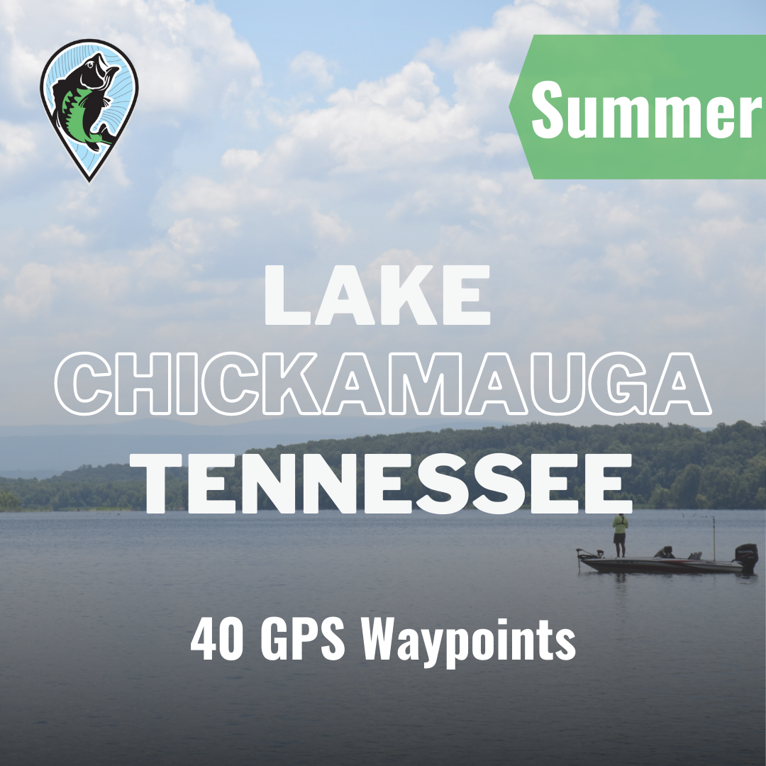 Lake Chickamauga, Tennessee - Summer — Fish the Moment