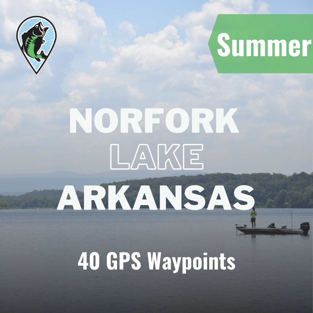 Norfork Lake, Arkansas - Summer — Fish the Moment