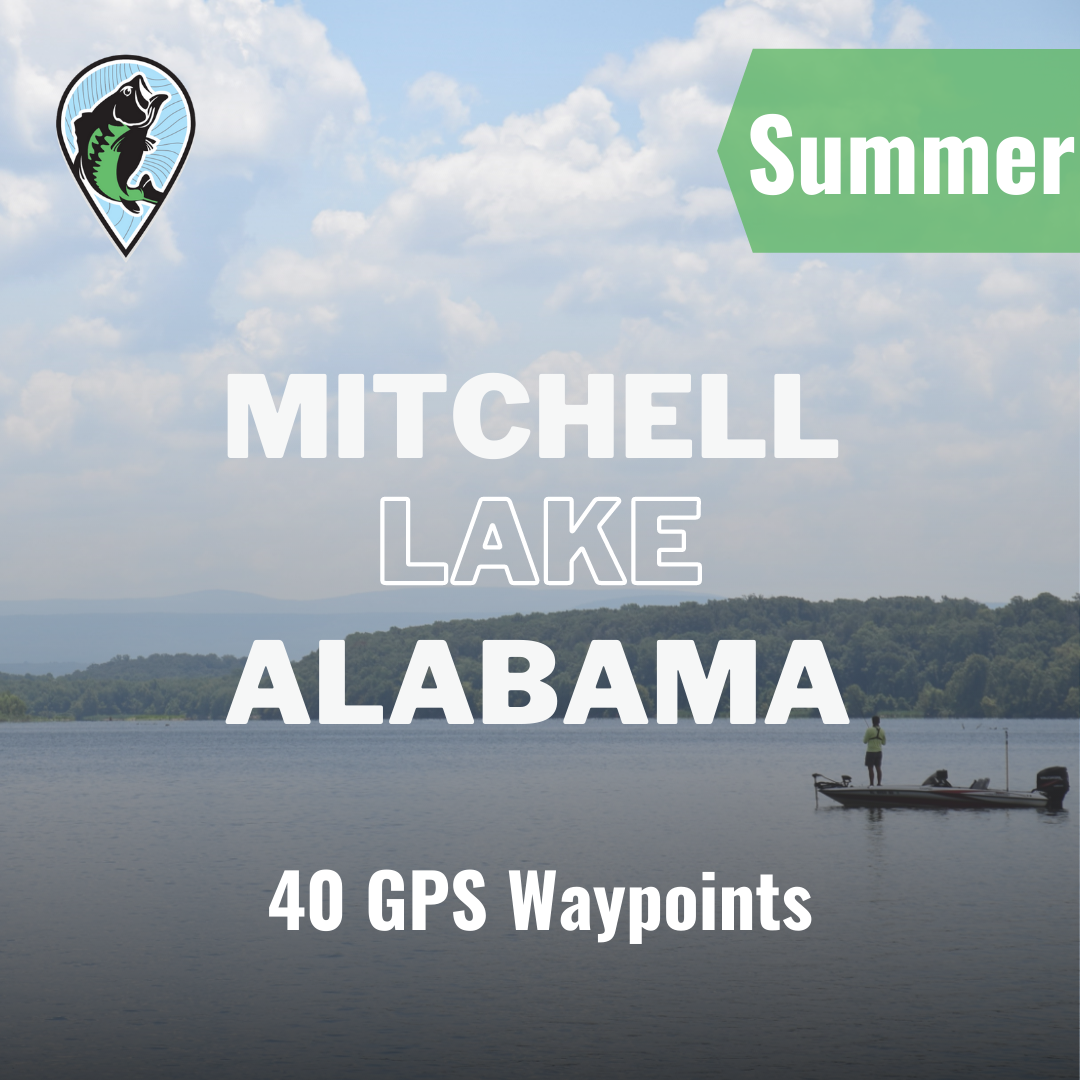Mitchell Lake, Alabama - Summer — Fish the Moment