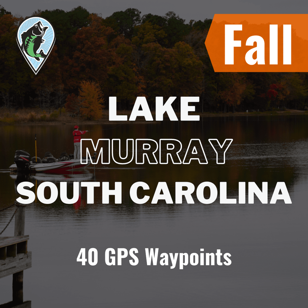 Lake Murray Fishing Report