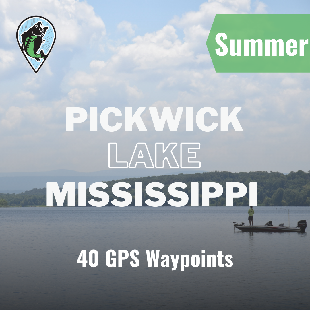 Pickwick Lake, Mississippi / Alabama - Summer — Fish the Moment