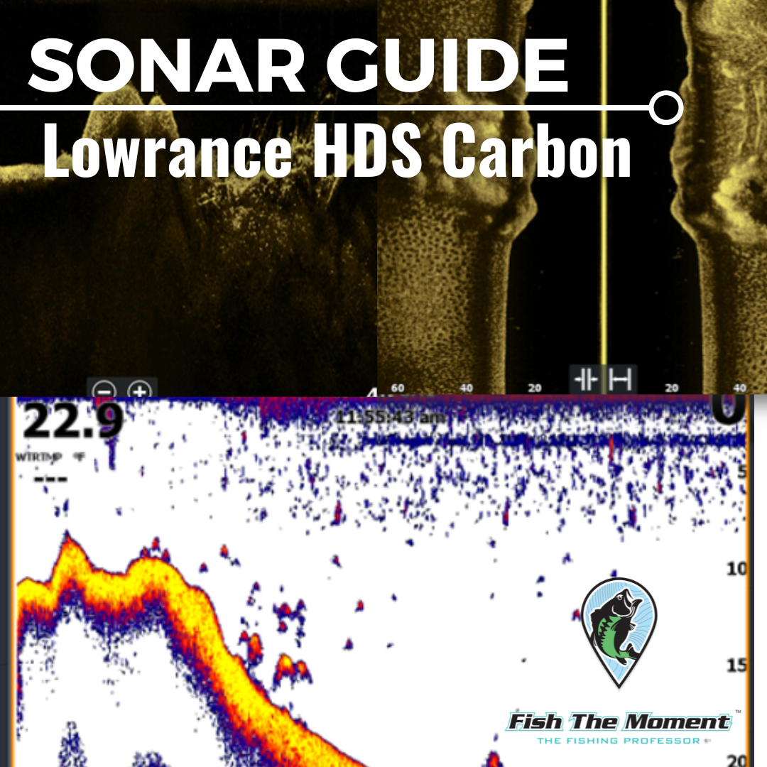 Sonar Guides — Fish the Moment