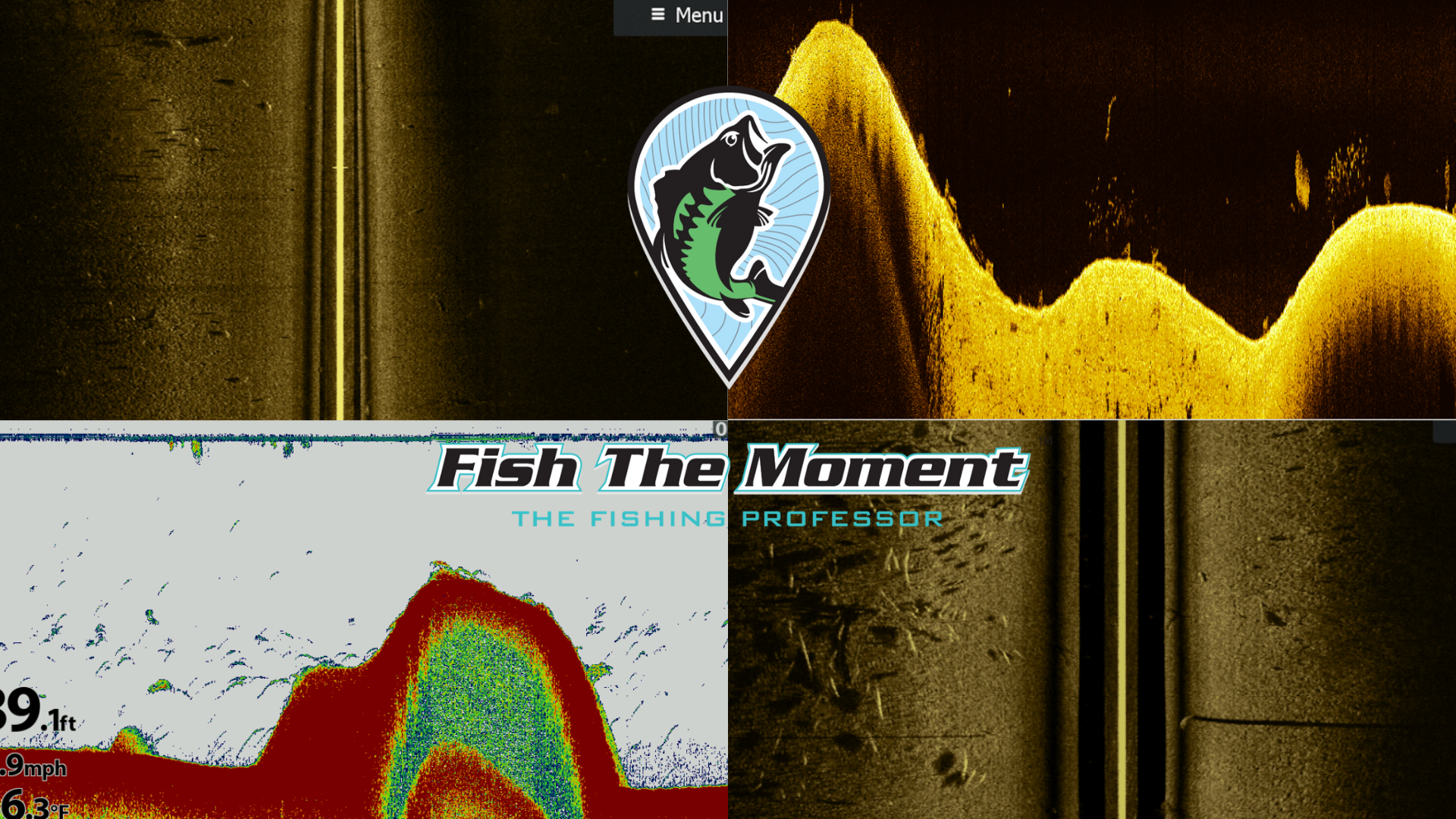 Sonar Guides — Fish the Moment
