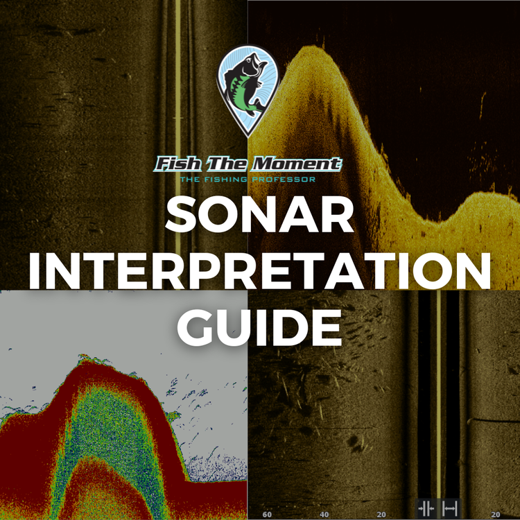 Sonar Guides — Fish the Moment